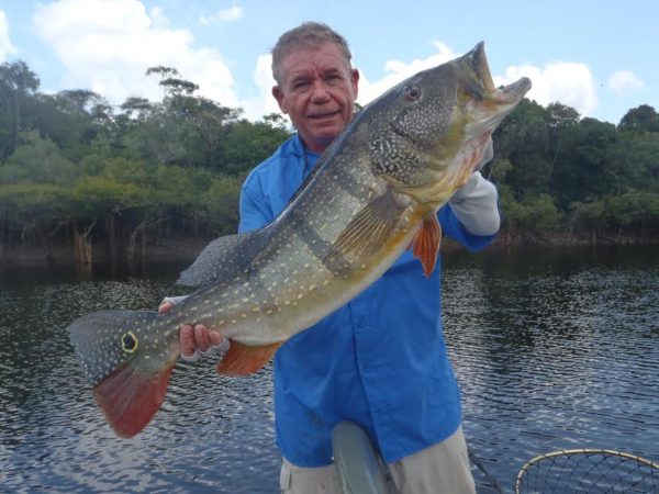 FALL 2016 BRAZIL PEACOCK BASS UPDATE - Ron's Fishing Blog