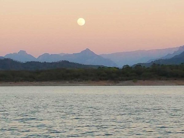 Part 1 of 2: ALL Mexico Lakes Sizzling Right Now - Ron's Fishing Blog