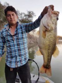 Lake Comedero Sizzling ALL Season - Ron's Fishing Blog